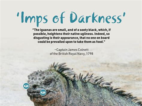 Imps Of Darkness Salty Sneezes And Heat Seeking Lizard Home Only Here Adventurer October 2019