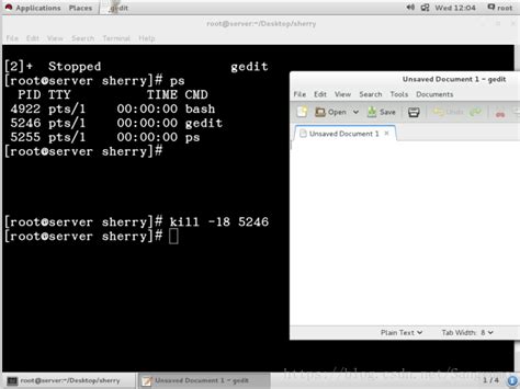 linux之系统进程及服务的控制 systemctl stop sigterm csdn博客