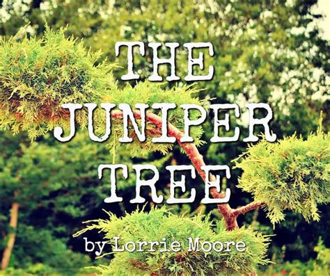 The Juniper Tree By Lorrie Moore Analysis Slap Happy Larry