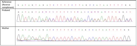 Sanger Sequence Of Patient And Her Mother Download Scientific Diagram
