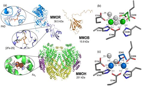 Figure 2 From Biomimetic Modeling Of The Active Site Of Soluble Methane Monooxygenase