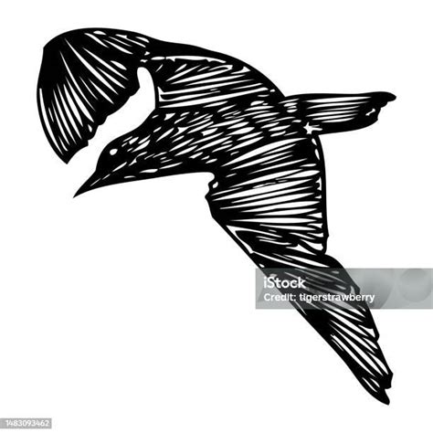 검은 갈매기 손으로 그린 스트로크 해양 갈매기 새 그리기 스케치입니다 선원을위한 영감 몸 플래시 문신 잉크 해상 벡터 갈매기에 대한 스톡 벡터 아트 및 기타 이미지 Istock
