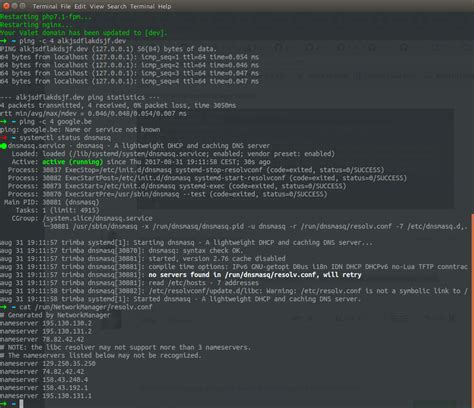 can t access the site when offline · issue 86 · cpriego valet linux