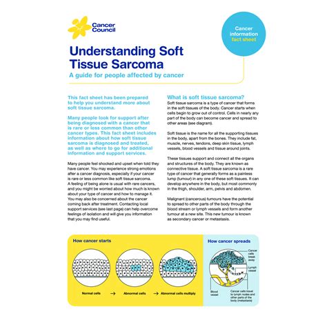Understanding Soft Tissue Sarcoma Pdf Download Cancer Council Queensland Resources