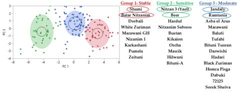 K Means Cluster Analysis And Clustering Of The 33 Tested Varieties Into