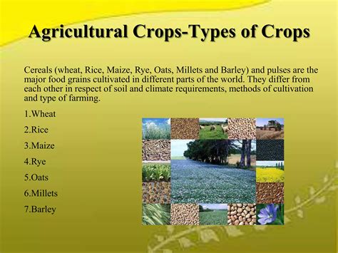Agriculture Pptx