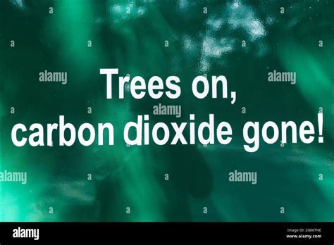 Tree Carbon Dioxide Hi Res Stock Photography And Images Alamy