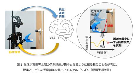 深層予測学習型ロボット制御技術開発 早稲田大学
