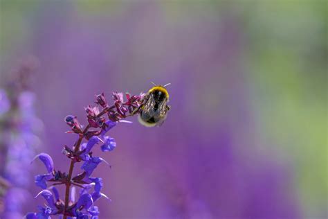 600 000 Foto Cewe Cantik Terbaik · Unduh Gratis 100 · Foto Stok Pexels