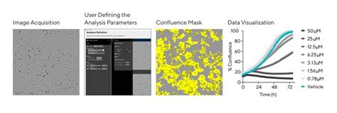 Incucyte® Base Basic Software Module For Cell Analysis Sartorius Croatia