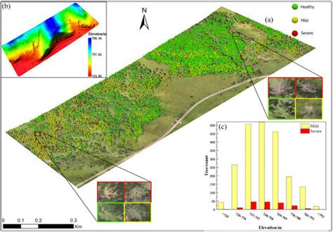 Forests Special Issue Uav Application In Forestry