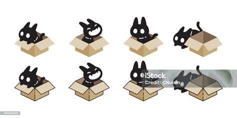고양이 벡터 아이콘 종이 상자 고양이 새끼 옥양목 네코 착한 애 만화 캐릭터 일러스트 레이 션 상징 외딴 디자인 클립 아트 개에 대한 스톡 벡터 아트 및 기타 이미지