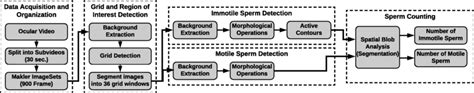 Flow Diagram Of Computerized Sperm Counting Software Cscs Methodology Download Scientific