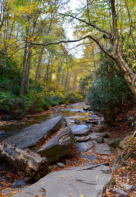 Up A Creek Photograph By Janet Davaros Fine Art America