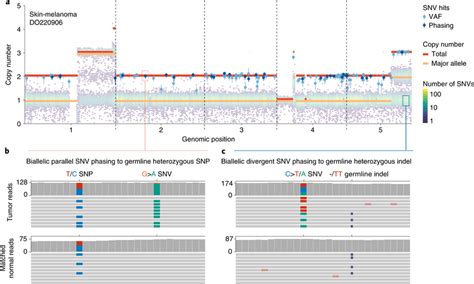 Detecting Biallelic Mutations In A Case Of Melanoma A Tumor