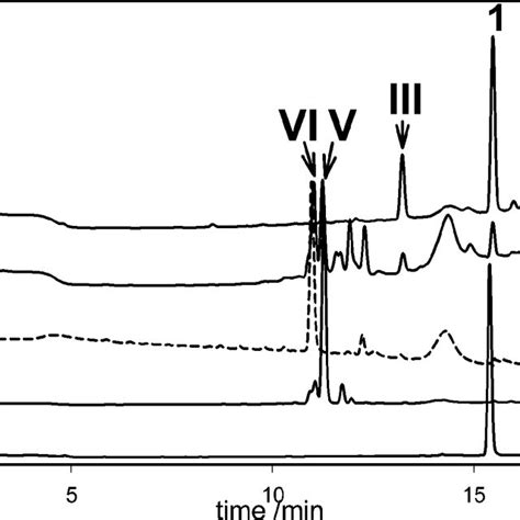 Reverse Phase Hplc Chromatograms A E Of Products Obtained Following Download Scientific