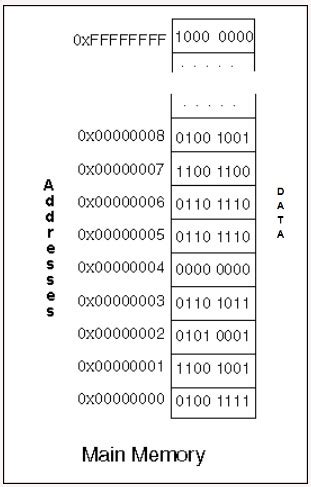 Virtual Memory Memory Leaks