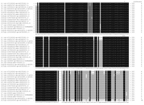 multiple alignment of the primary sequences of seventeen partial β