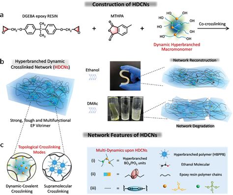 Hyperbranched Dynamic Crosslinking Networks Enable Degradable Reconfigurable And