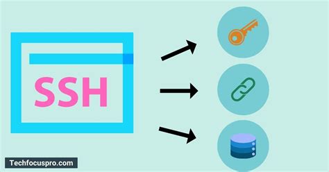 How To Backup Raspberry Pi Remotely Tech Focus Pro