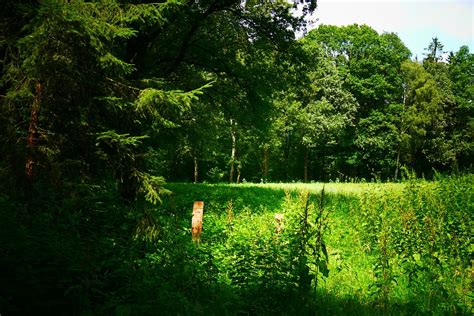 View Field Nature Free Photo On Pixabay Pixabay