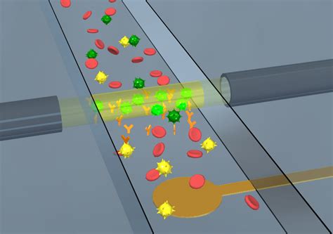 Kit Imt Research At Imt Microsystems Utz Lab Lab On A Chip Loc