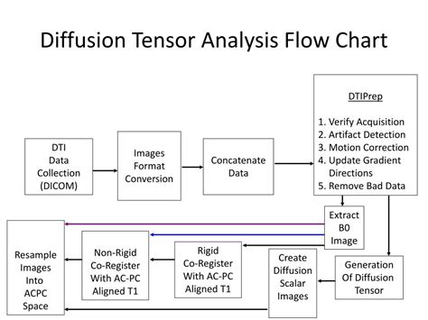 Ppt Diffusion Weighted Imaging Tensor Analysis Powerpoint
