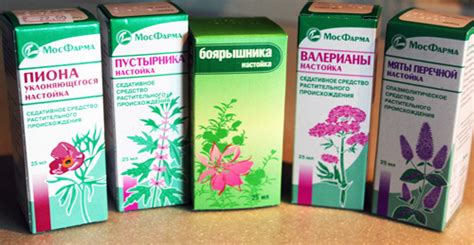 Успокаивающие травы для нервной системы взрослого и ребенка ...