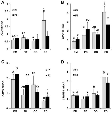Rna Expression Data Was Normalized Relative To Actin As Internal Download Scientific Diagram