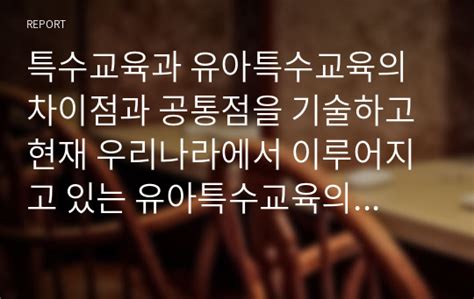 특수교육과 유아특수교육의 차이점과 공통점을 기술하고 현재 우리나라에서 이루어지고 있는 유아특수교육의 방향성을 논하세요 레포트