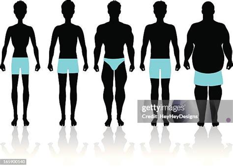 Mens Body Types High Res Vector Graphic Getty Images
