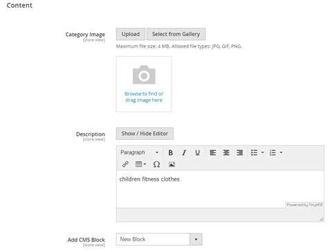 Magento 2 Backend Exploration Categories Firebear