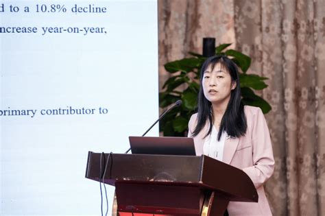 Accelerating The Decarbonization Of Cement In China Sino German