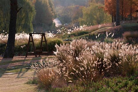 올해 단풍에 실망했다면 여기 가보세요” 가을정취 만끽할 수 있는 나들이 명소