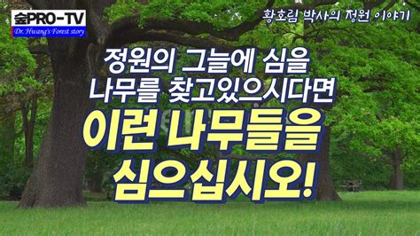 그늘에서도 잘 자라는 정원수 30선 숲프로 Tv Youtube