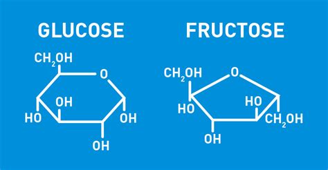 The Difference Between Glucose And Fructose Glukos Energy