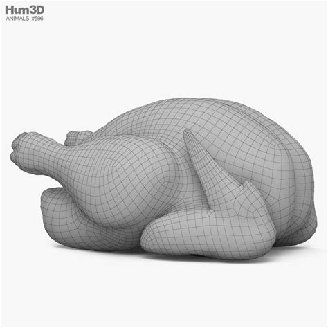 생닭고기 3d 모델 다운로드 육류 및 가금류 On