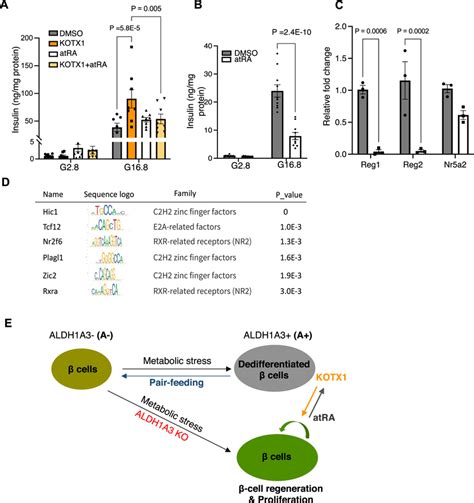 ra signaling and β cell dysfunction a insulin secretion in islets from