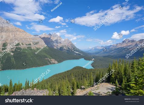 Peyton Lake 28 Images Photos Et Images Vectorielles De Stock Shutterstock
