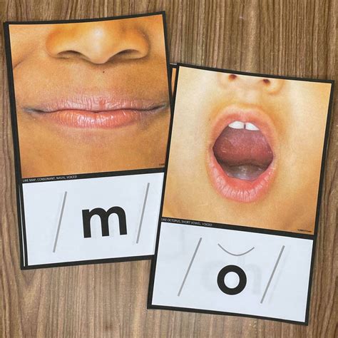 Alphabet Mouth Cards Articulation Photos W Real Photos Science Of