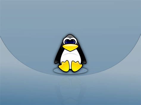 linux中文顯示亂碼？如何設定centos顯示中文 php开发 php中文網