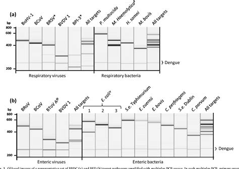 Figure 1 From A Novel Multiplex Pcr Electronic Microarray Assay For