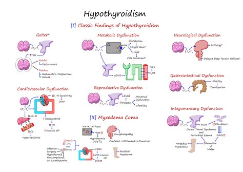 Hypothyroidism Causes Symptoms And Treatment