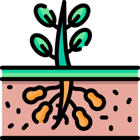 Peanut Special Lineal Color Icon