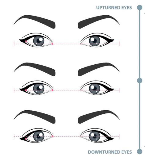 Categories Of Face Shape Download Scientific Diagram