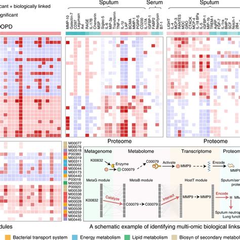 Overview Of Microbiome Metabolite Host Interaction In Copd Clustered Download Scientific