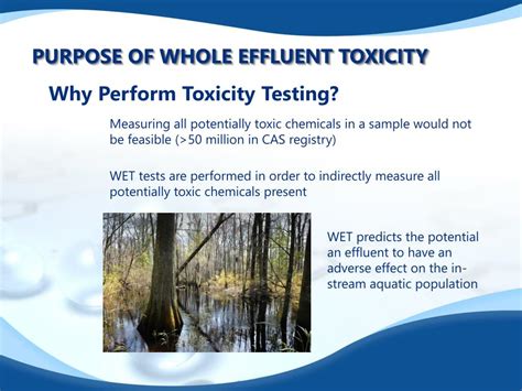 PPT HURDLES IN TOXICITY TESTING PowerPoint Presentation Free Download ID 2276697