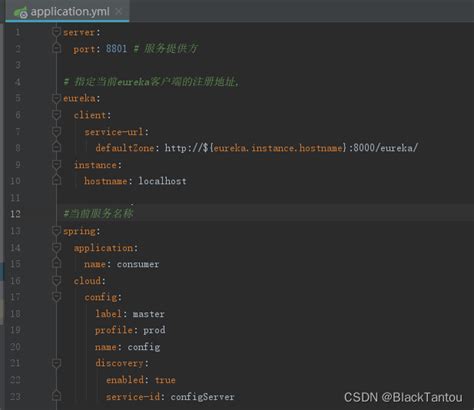 记一次springcloud搭建中的坑error Handling Failed Environment 不能为空 Csdn博客