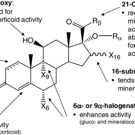 Common Numbering And Notation System Of The Steroid Structure To Download Scientific Diagram