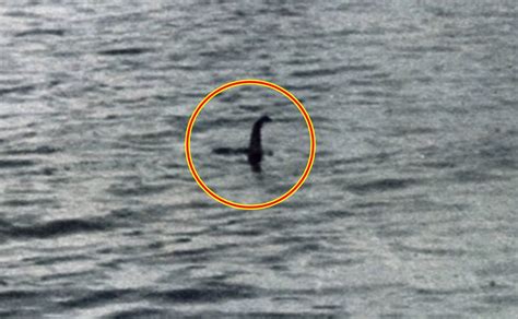 ‘네스호 전설 밝히려는 탐사대호수 괴물 네시 사진의 진실 터보뉴스